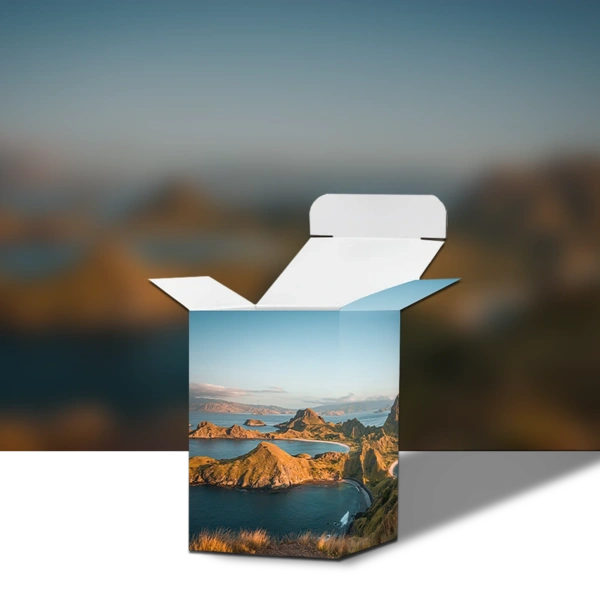 Crash Lock Promotional Boxes | Prontaprint Brighton & Hove